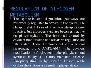 Glycogen.pptx ffffffffffffffffffffffffffffffff | PPT
