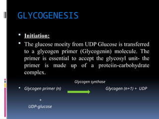 Glycogen.pptx ffffffffffffffffffffffffffffffff | PPT