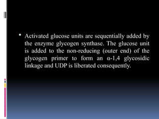 Glycogen.pptx ffffffffffffffffffffffffffffffff | PPTX