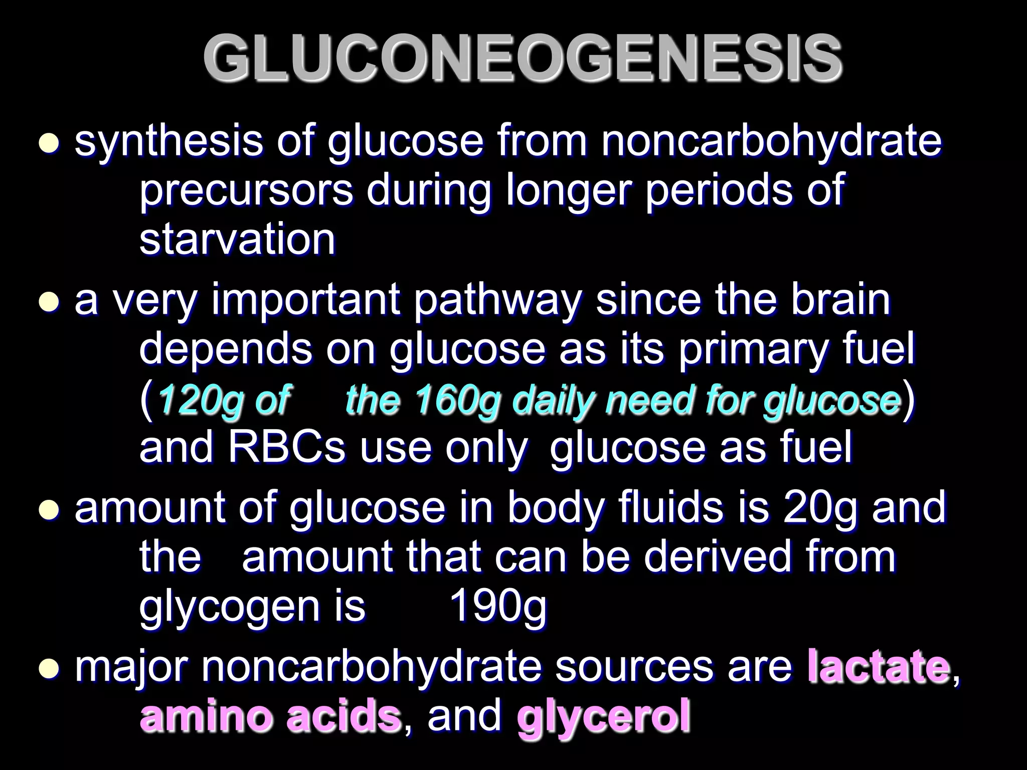 Glycogen metabolism | PDF