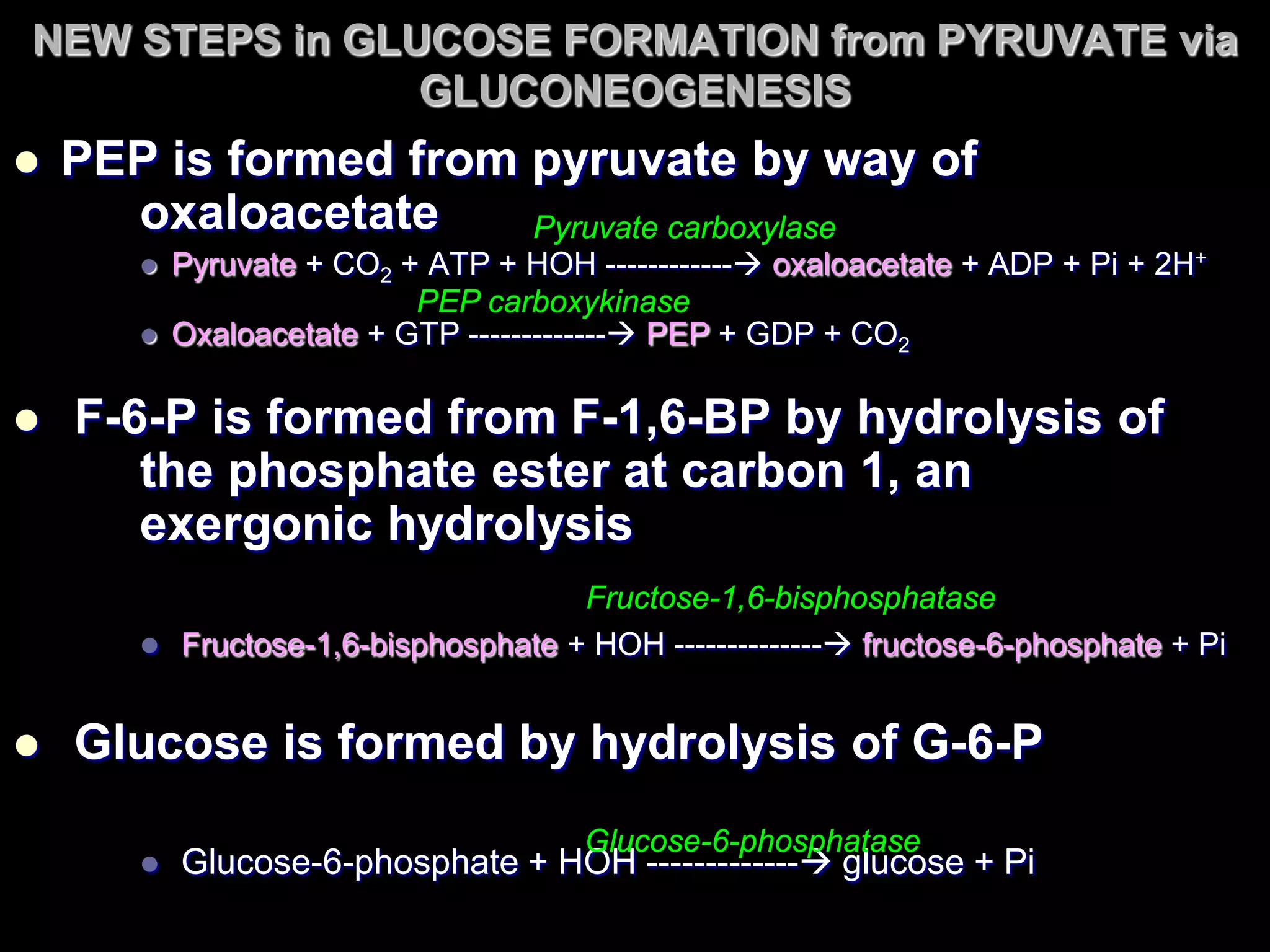 Glycogen metabolism | PPT