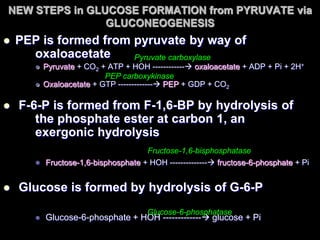 Glycogen metabolism | PDF