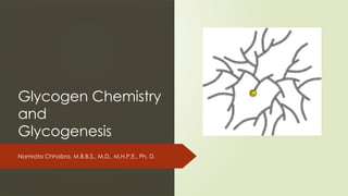 A Quick Review of Glycogen Chemistry and Glycogenesis | PPT