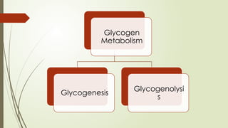 A Quick Review of Glycogen Chemistry and Glycogenesis | PPT