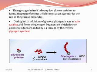 Glycogenesis | PPTX