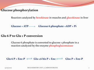Glycogenesis | PPTX