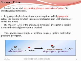 Glycogenesis | PPTX