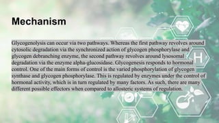 GLYCOGENESIS.pptx