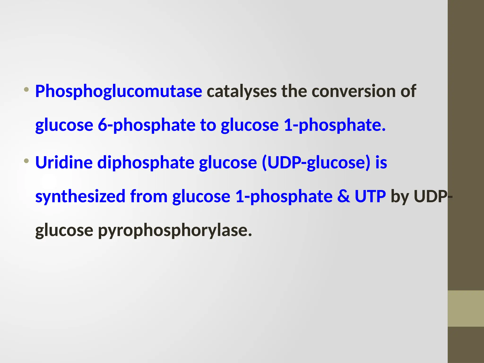Metabolism of glycogen(glycogenesis).pptx