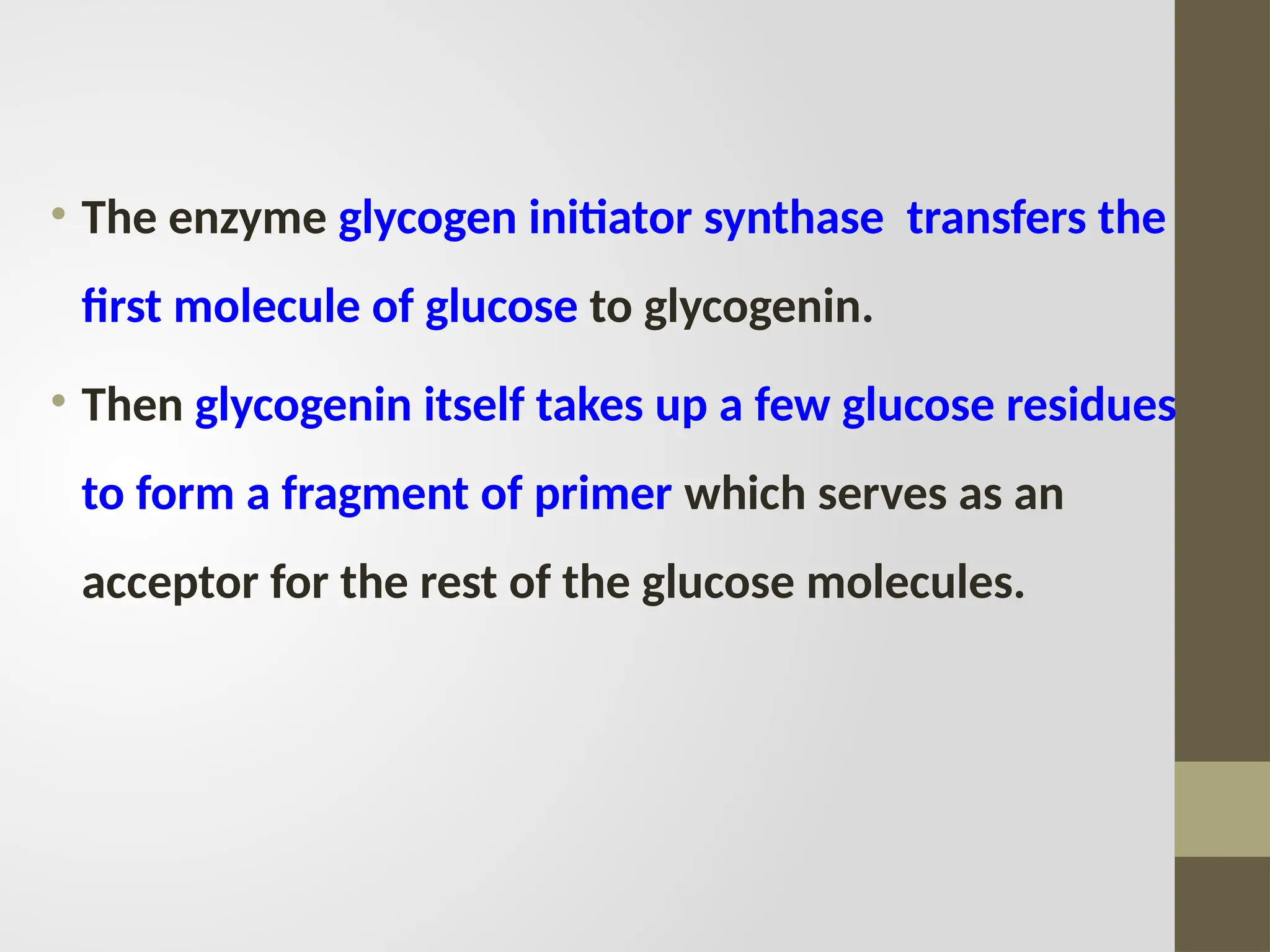 Metabolism of glycogen(glycogenesis).pptx