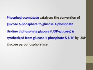Metabolism of glycogen(glycogenesis).pptx