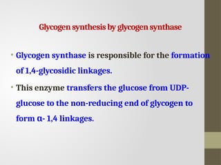 Metabolism of glycogen(glycogenesis).pptx