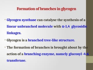 Metabolism of glycogen(glycogenesis).pptx