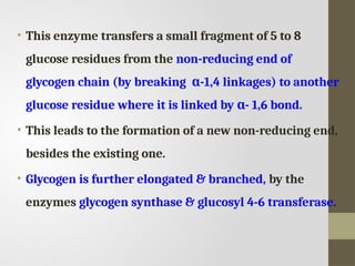 Metabolism of glycogen(glycogenesis).pptx