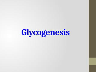GLYCOGENESIS.pptx....................... | PPT