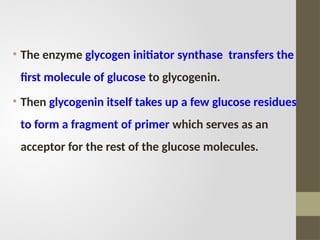 GLYCOGENESIS.pptx....................... | PPT