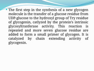 glycogenesis is the process of formation of glycogen. | PPTX
