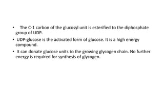 Glycogenesis and glycogenolysis | PPTX