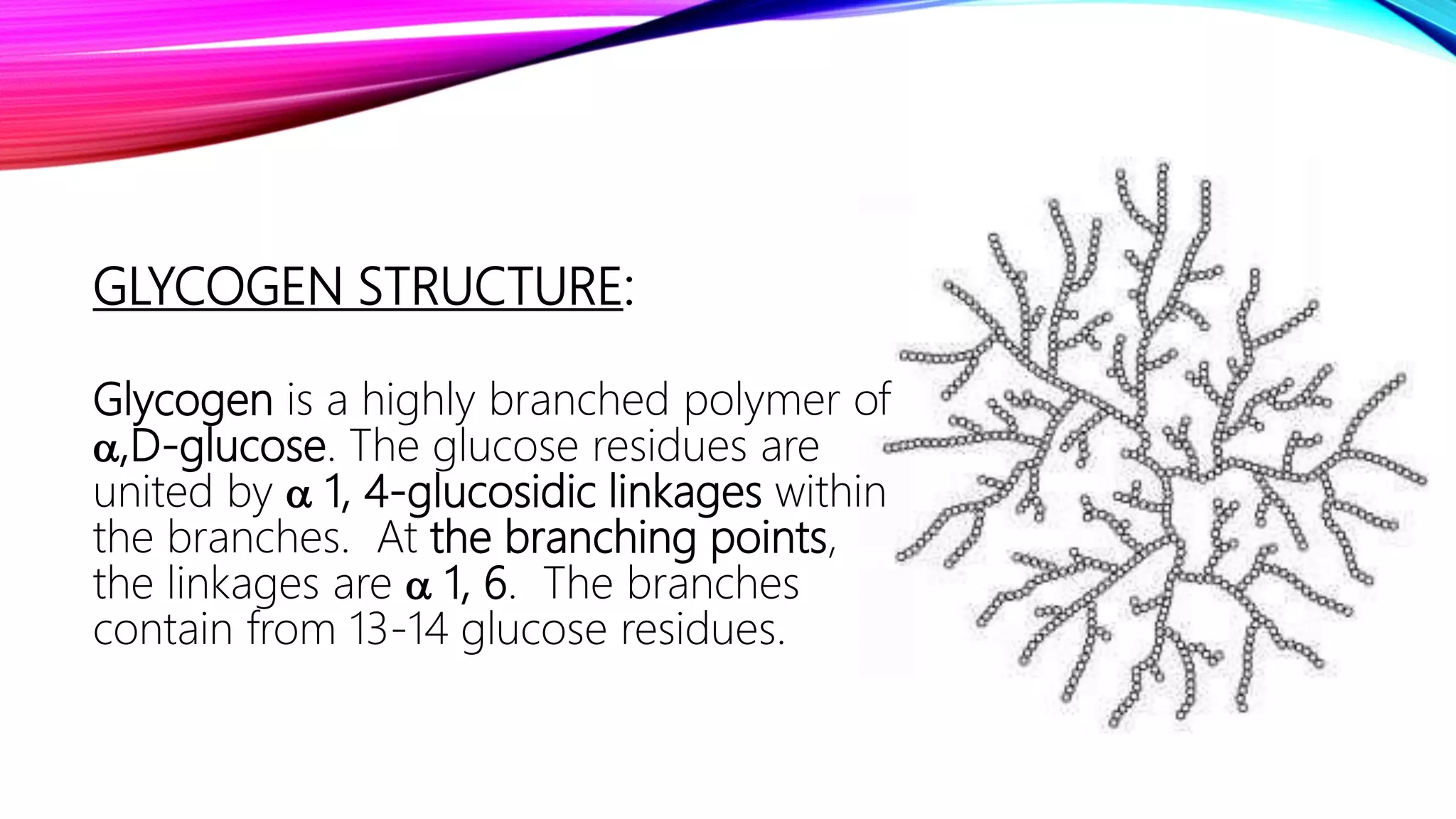 Glycogen & gluconeogenesis 2020 | PPT