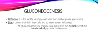 Glycogen & gluconeogenesis 2020 | PPTX