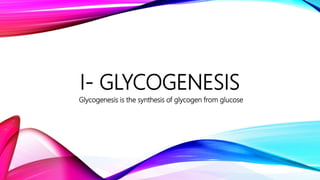 Glycogen & gluconeogenesis 2020 | PPTX