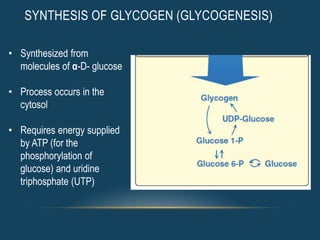 Glycogen ( Glycogenesis) | PPTX