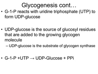 Glycogen Metabolism-1.ppt