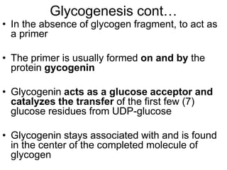 Glycogen Metabolism-1.ppt