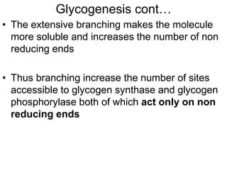 Glycogen Metabolism-1.ppt