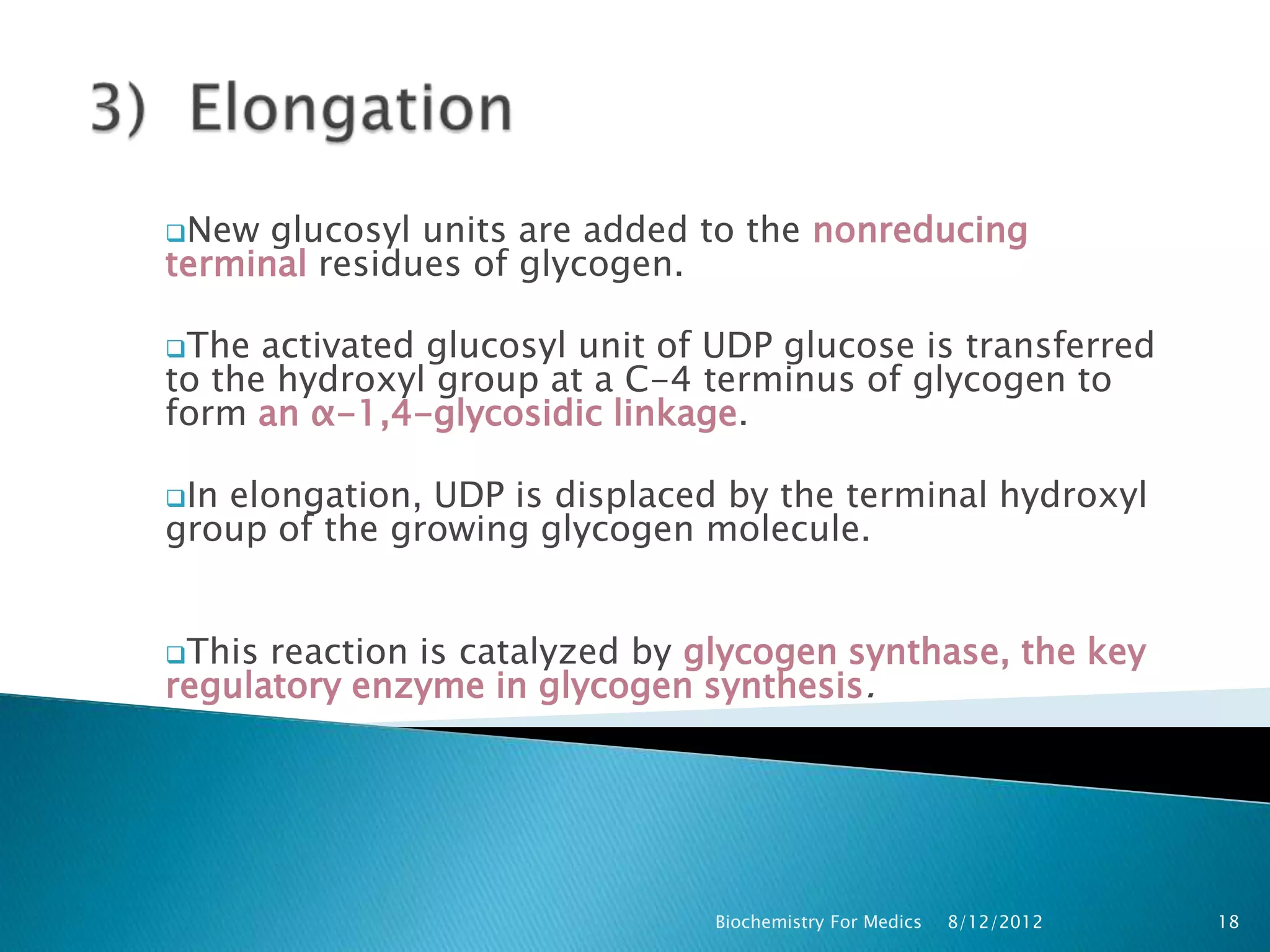 Glycogen metabolism | PPTX