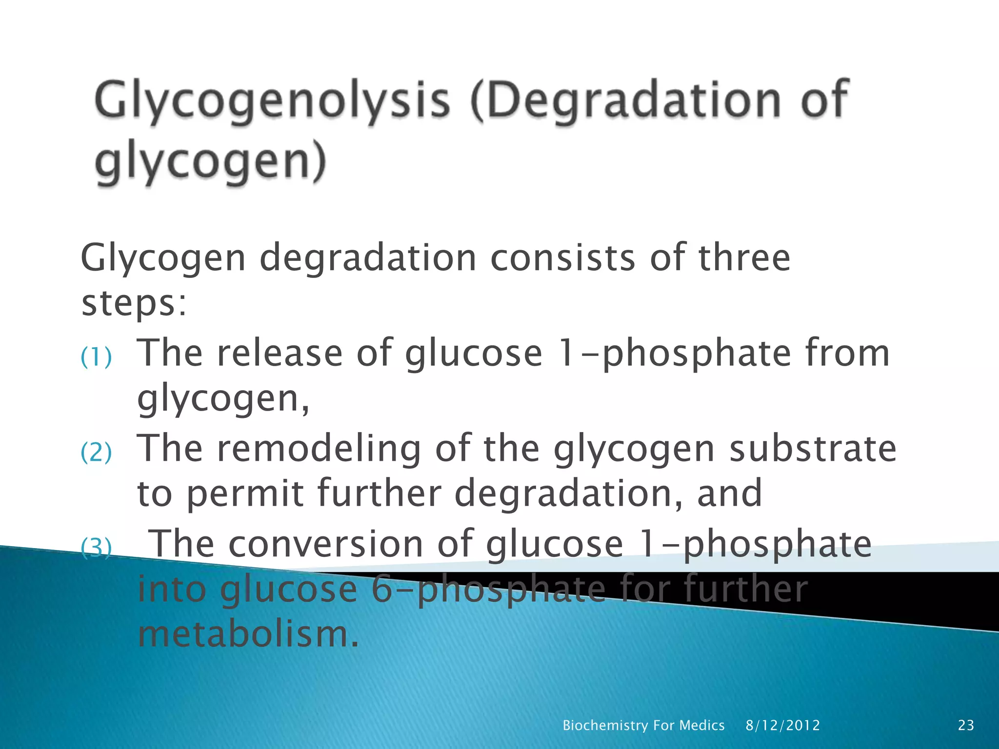 Glycogen metabolism | PPTX