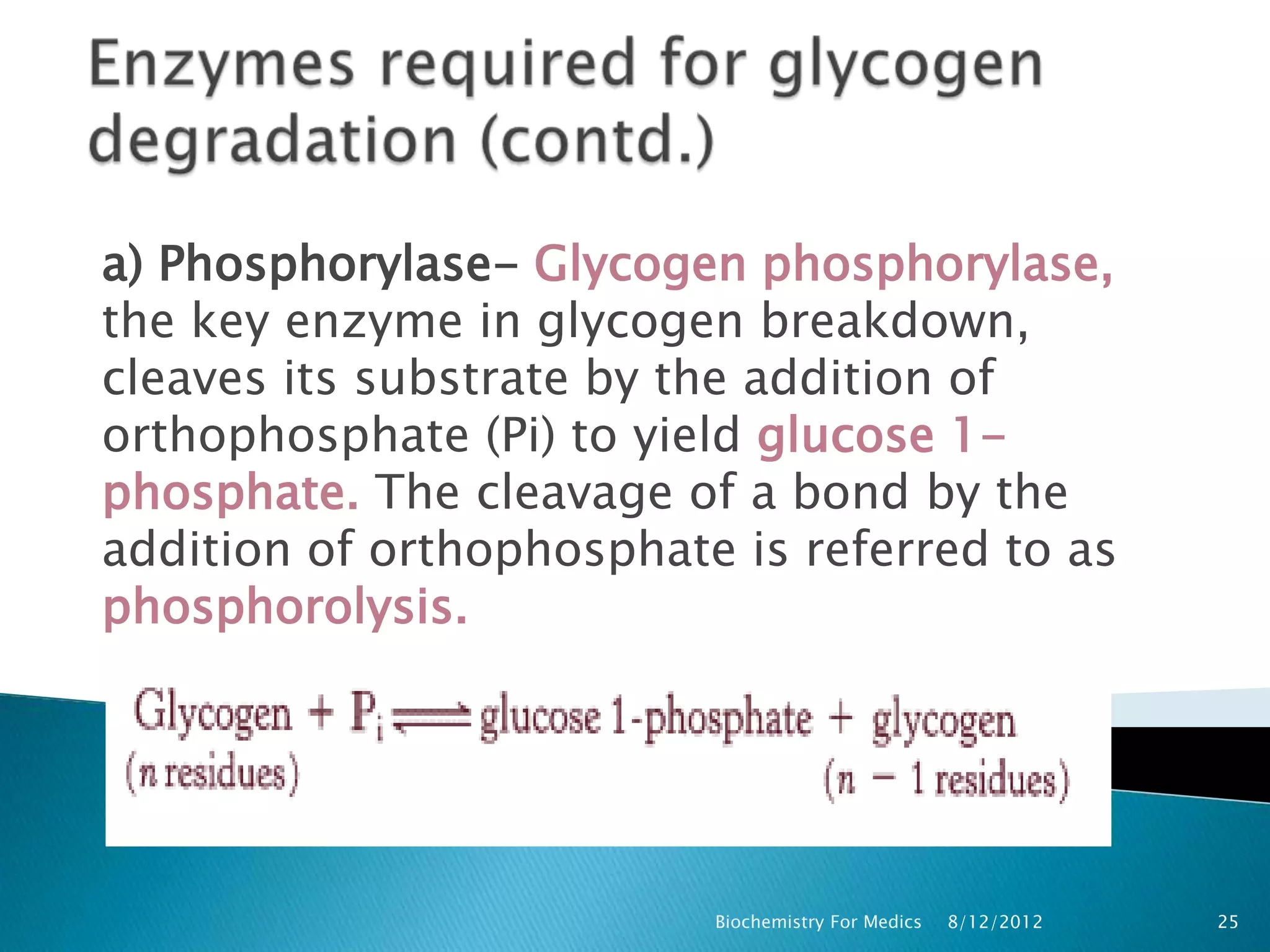 Glycogen metabolism | PPTX