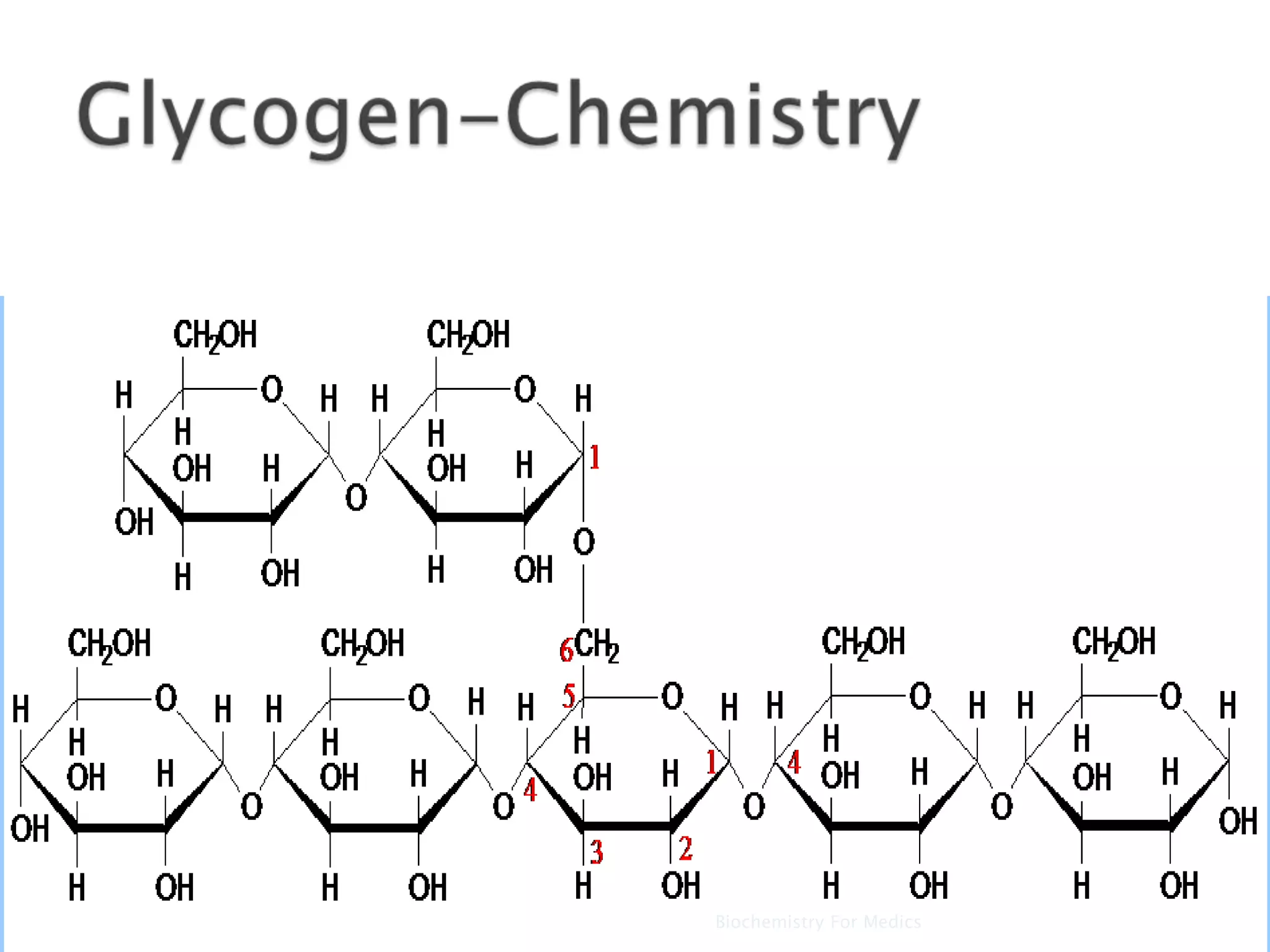 Glycogen metabolism | PPTX