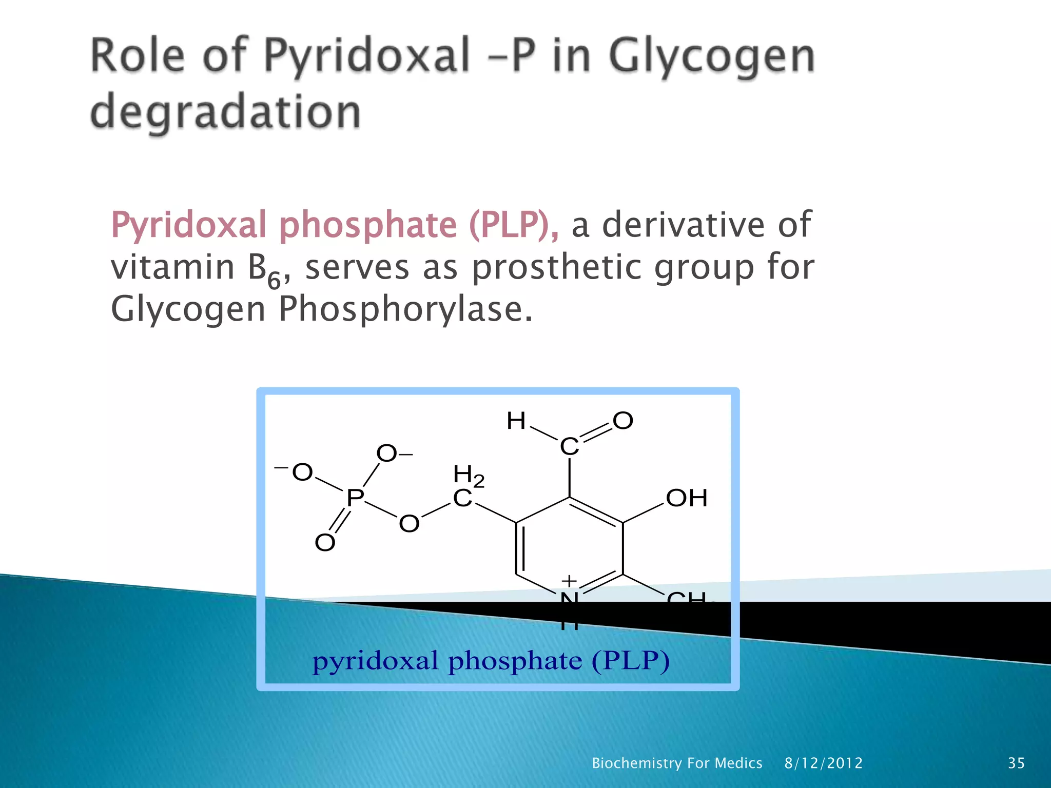 Glycogen metabolism | PPTX