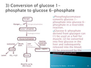 Glycogen metabolism | PPTX