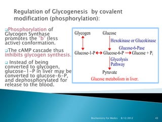 Glycogen metabolism | PPTX