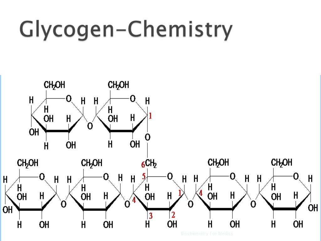 Glycogen metabolism