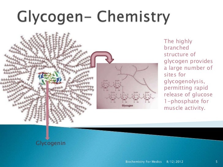 Glycogen metabolism