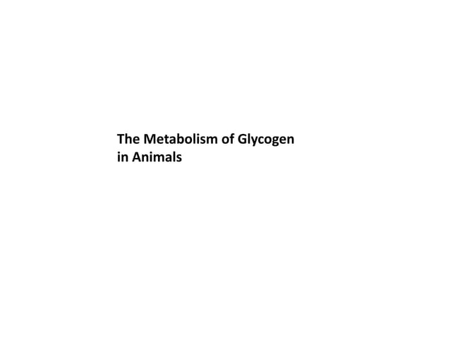Glycogen metabolism | PPT