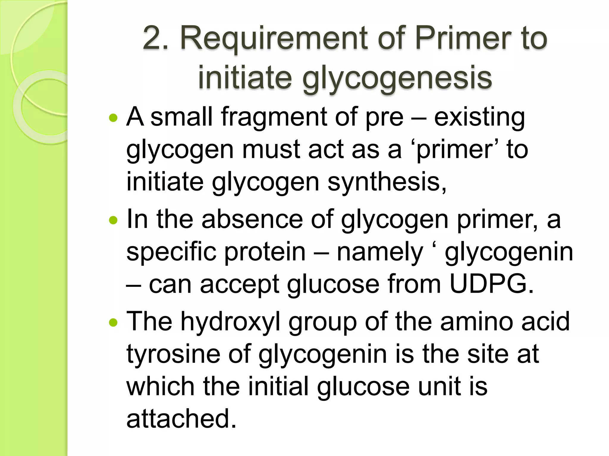 Glycogen metabolism | PPTX