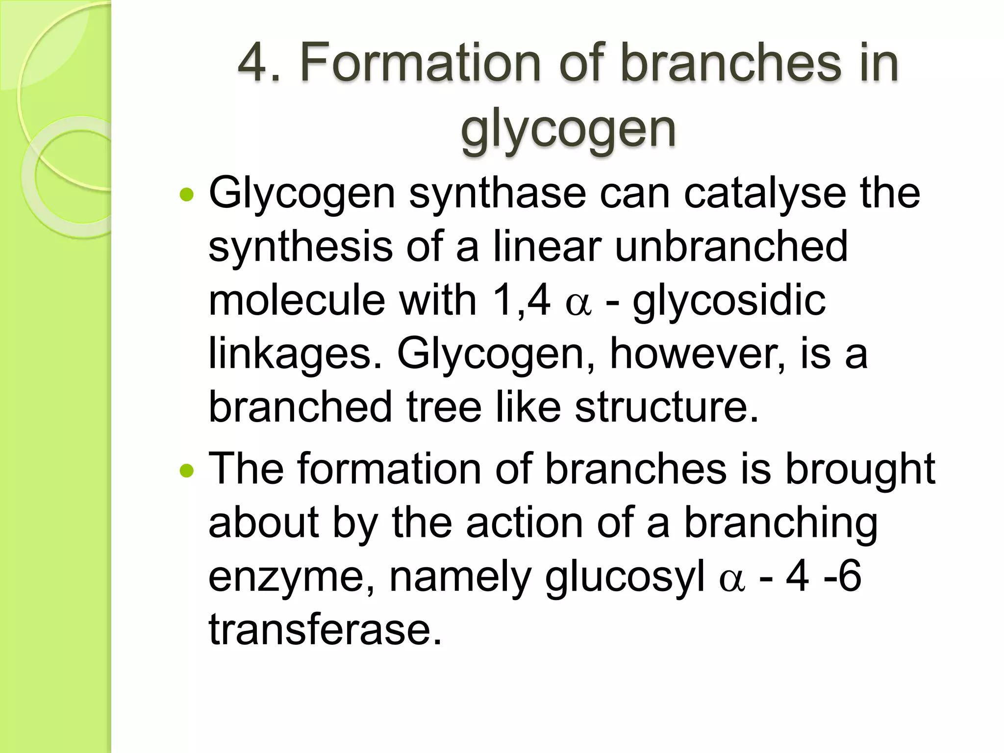 Glycogen metabolism | PPTX