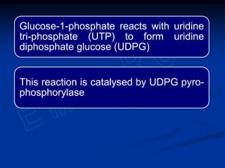 Glycogen metabolism | PPTX