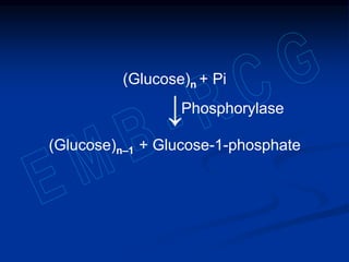 Glycogen metabolism | PPTX