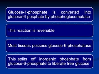 Glycogen metabolism | PPTX
