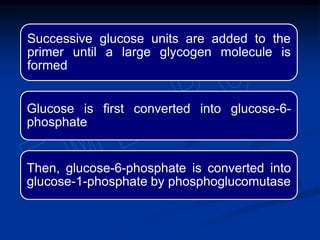 Glycogen metabolism | PPTX