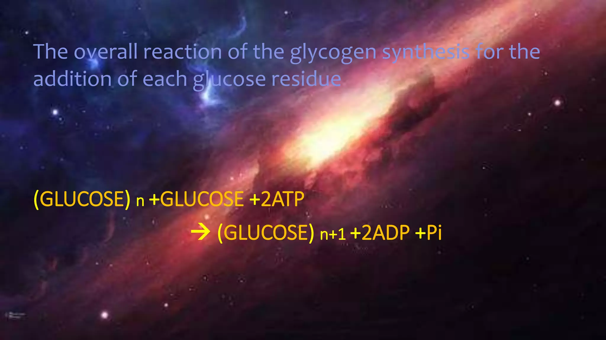 Glycogen Metabolism . | PPTX