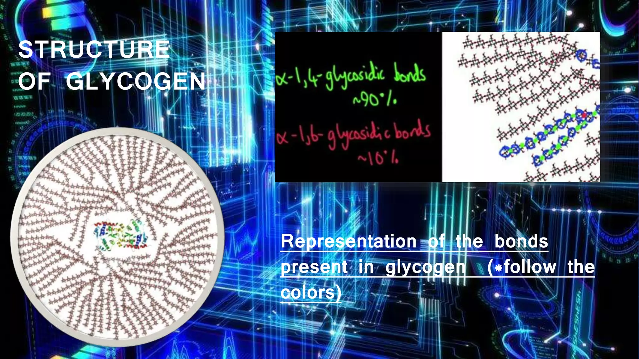Glycogen Metabolism . | PPTX