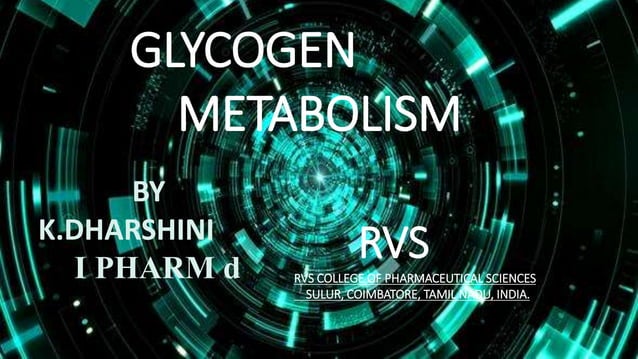 Glycogen Metabolism . | PPT