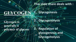 Glycogen Metabolism . | PPTX