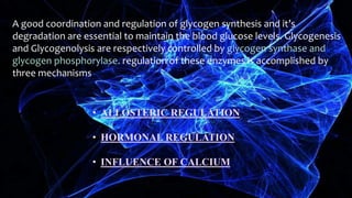 Glycogen Metabolism . | PPTX